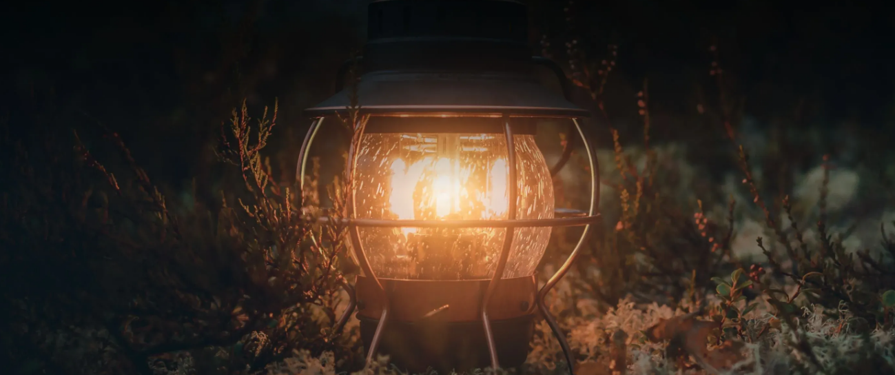 Buy the OM-SYSTEM M.Zuiko Digital ED 20mm F1.4 PRO Micro Four Thirds ...