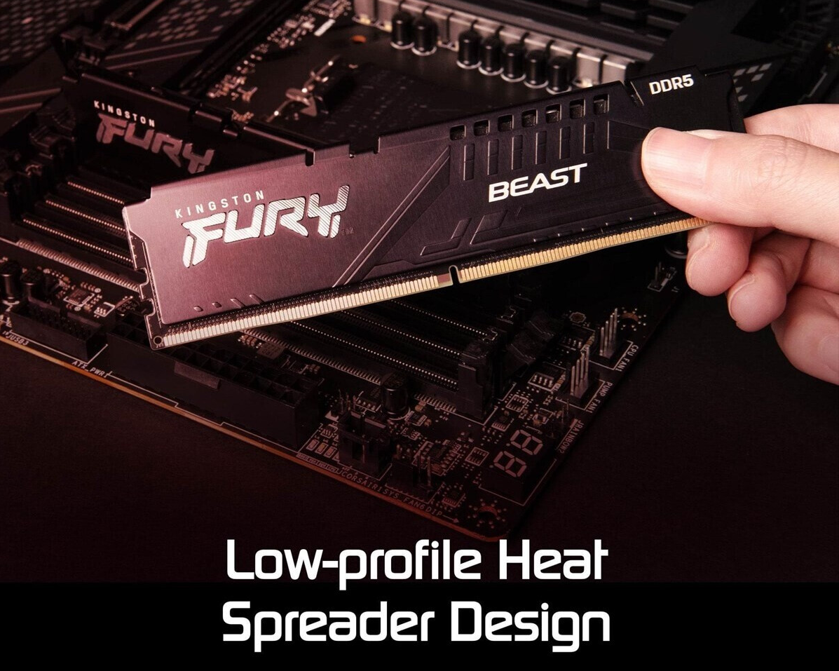 Buy the Kingston KF556C36BBE-8 8GB DDR5-5600MT/s CL36 DIMM FURY Beast ...