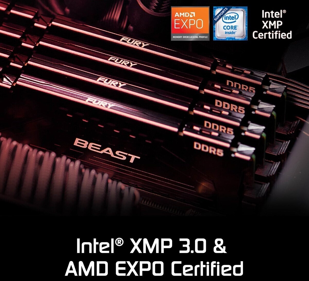 Buy the Kingston KF556C36BBE-8 8GB DDR5-5600MT/s CL36 DIMM FURY Beast ...