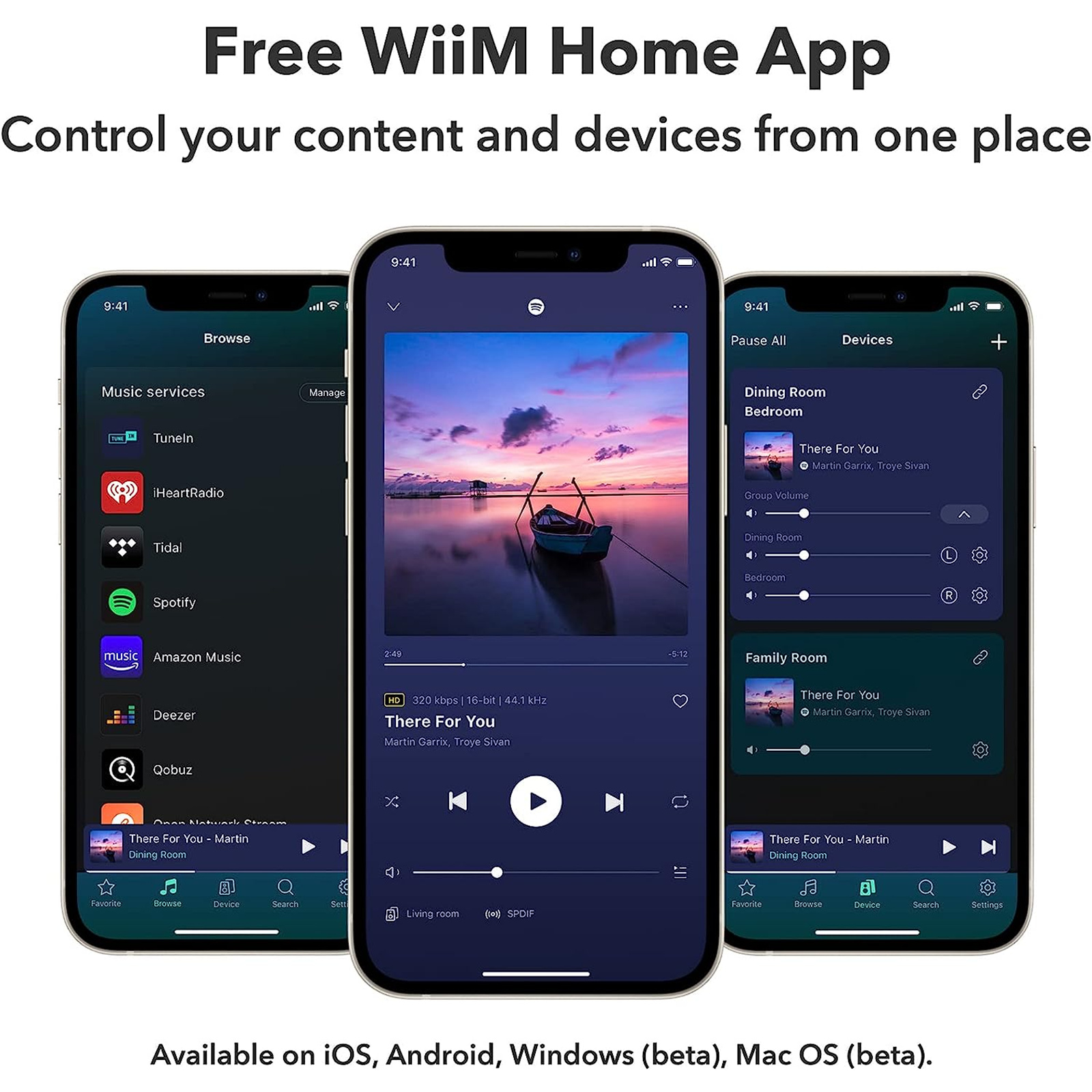 Buy the WiiM Mini Wireless WiFi + Bluetooth Audio Streamer - Apple ...