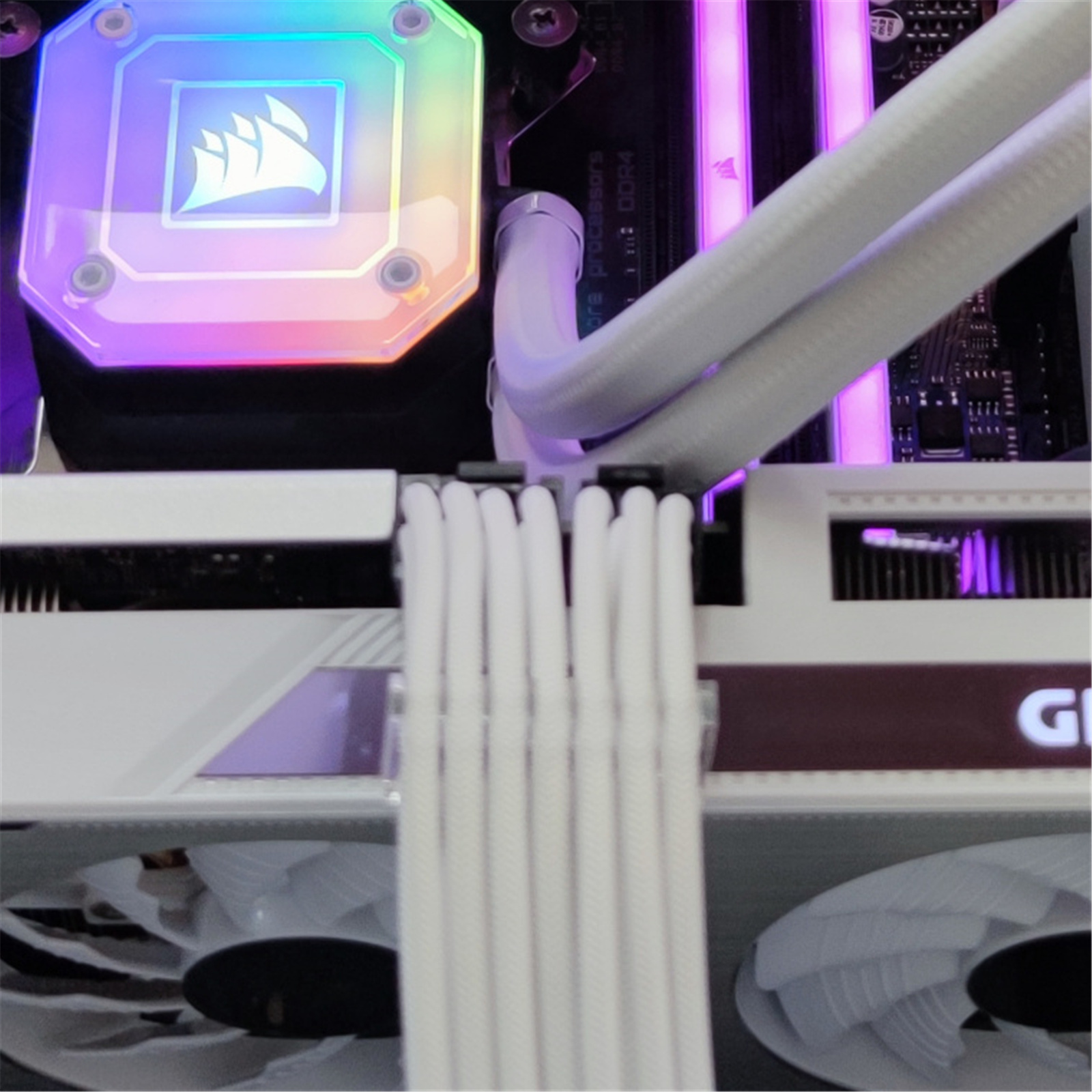 Buy the GGPC 14 Slot Cable Comb (2 pieces) ( CABGG0023 ) online ...