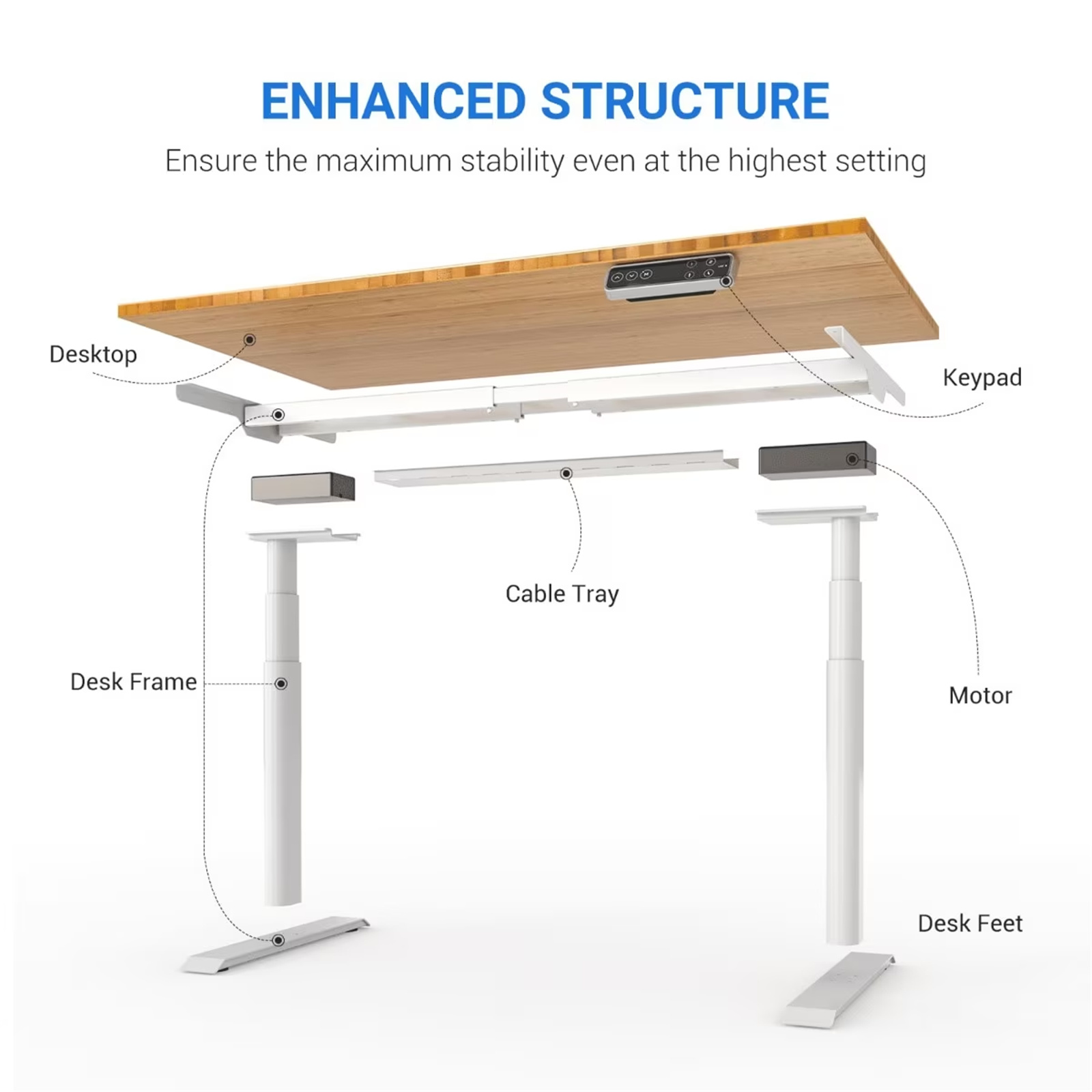 Buy the FlexiSpot E8 Premium Height Adjustable WFO & WFH Standing Desk ...