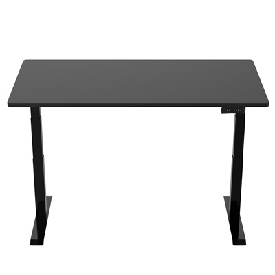 Buy the Loctek Ergonomic Premium Office Standing Desk - 1600x800mm ...