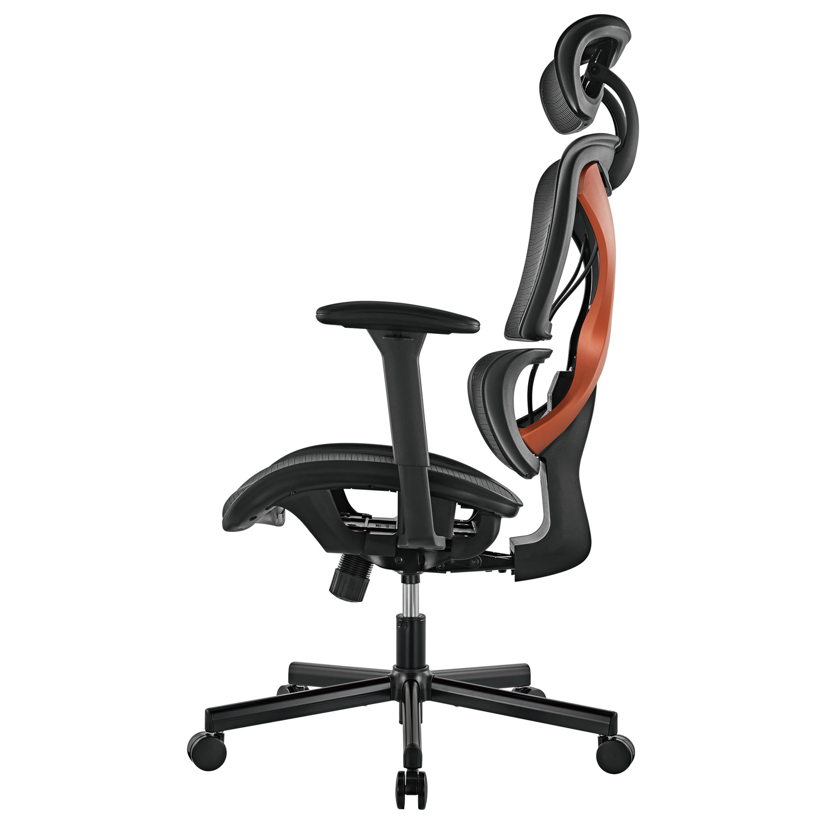 Buy the Brateck CH05-31 SpineX Ergonomic Office Chair with Posture ...