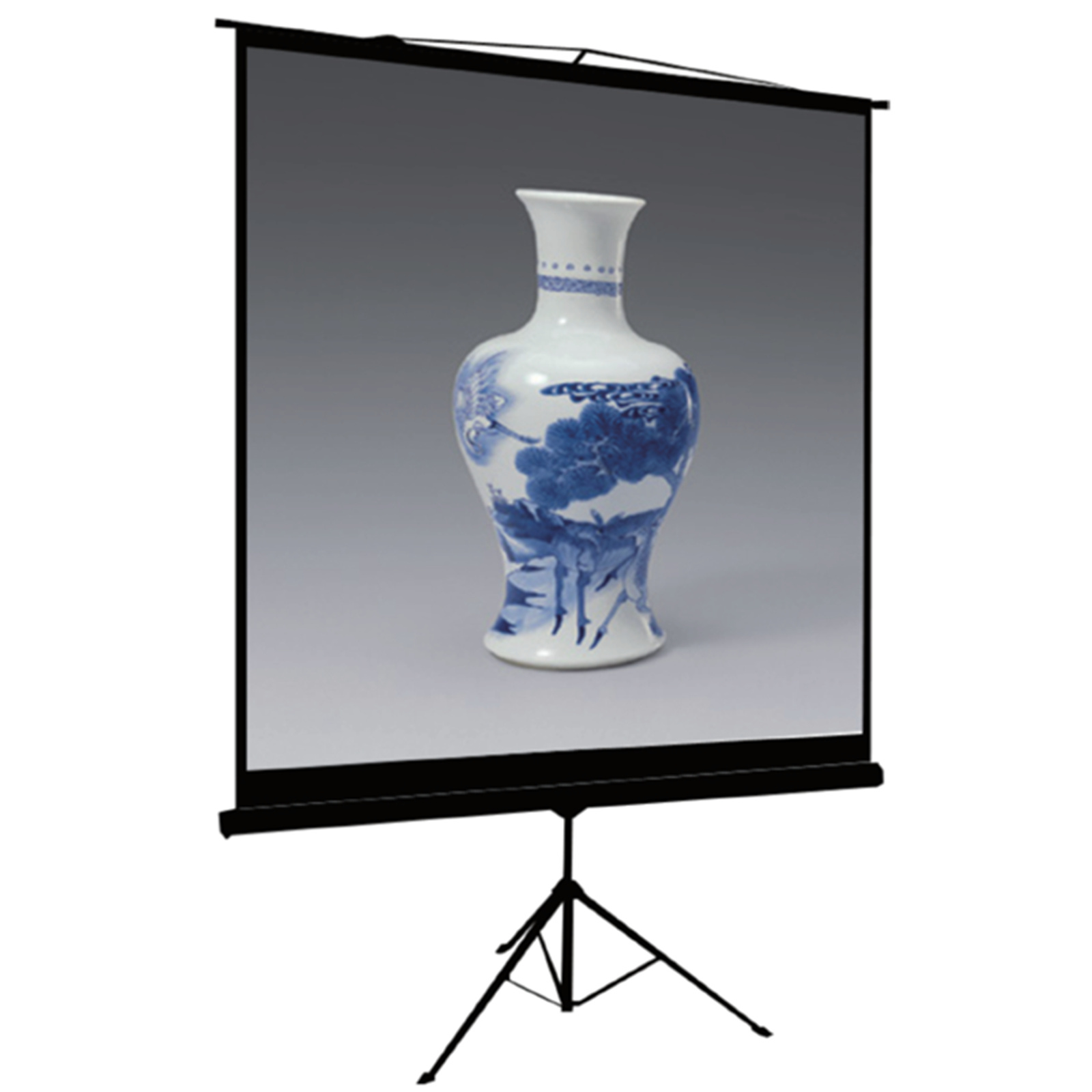 Buy the Loctek TS1 84" 170x127cm Ratio 4:3 Projector Screen Portable ...