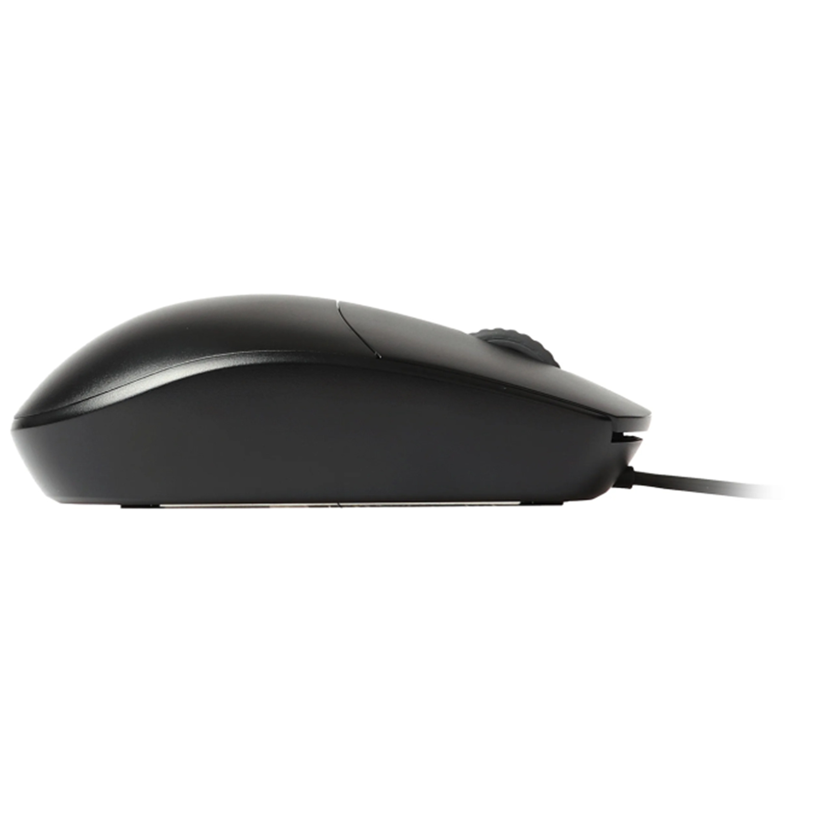 Buy the Rapoo N100 Wired Optical Ambidextrous USB Mouse - Black ( N100 ...