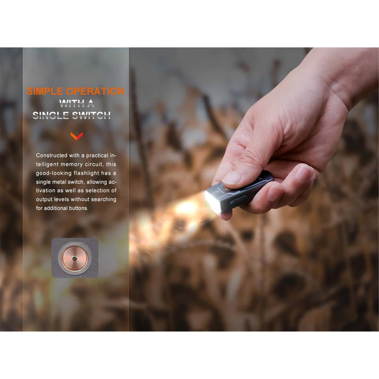 Buy the Fenix Everyday Carry Torch E03R V2.0 Mini Keychain Flashlight ...